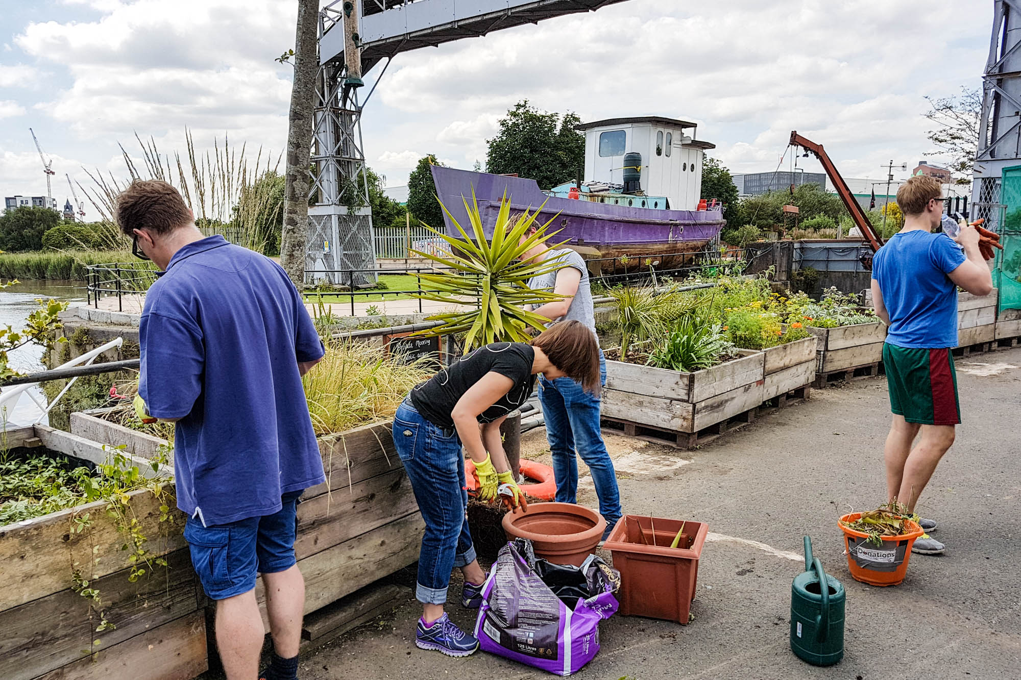 Volunteering | Well Newham